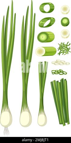 Spring onion in different forms illustration Stock Vector Image & Art ...