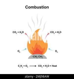 Scientific Designing of Combustion Reaction. Vector Illustartion Stock ...