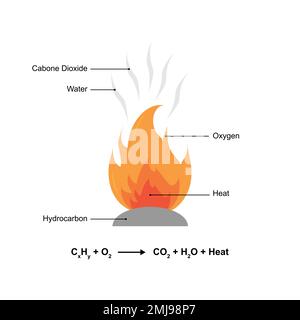 Scientific Designing of Combustion Reaction. Vector Illustartion Stock ...