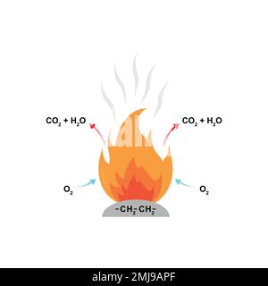 Scientific Designing of Combustion Reaction. Vector Illustartion Stock ...