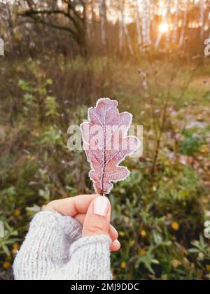 In the autumn evening of the frost season, the Mutianyu Great Wall is ...