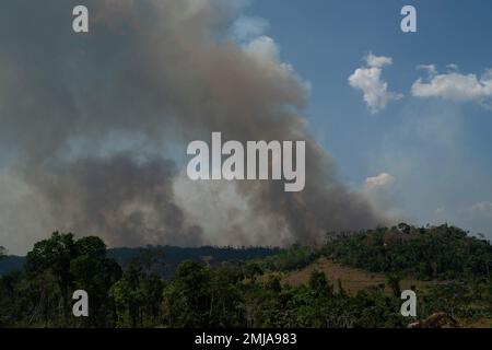 Fire consumes the Amazon rainforest in Altamira, Brazil, on Tuesday ...