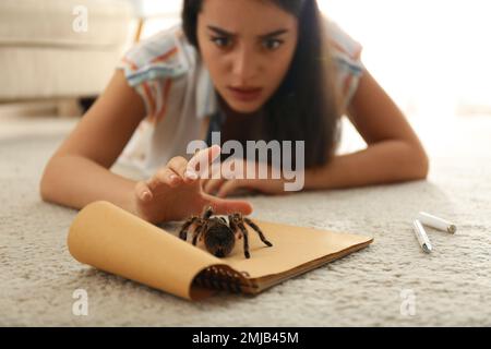 Young woman and tarantula on carpet. Arachnophobia (fear of spiders ...