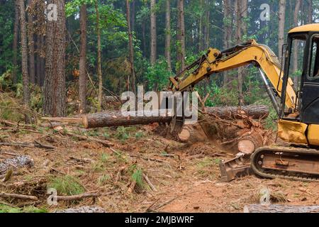 Work tractor manipulator uproot trees with aim lifting logs to prepare ...