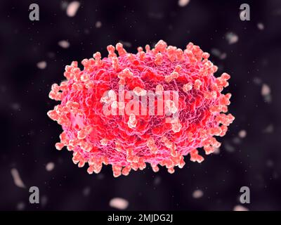 Mpox virus, illustration Stock Photo - Alamy