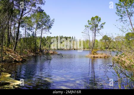 hostens lake water view with trees reflexion Stock Photo - Alamy