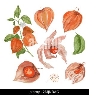 Watercolor autumn floral heart frame with roses, flowers, berries, fall ...