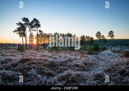Winter sunrise at the Cleddon Nature Reserve in the lower Wye Valley ...