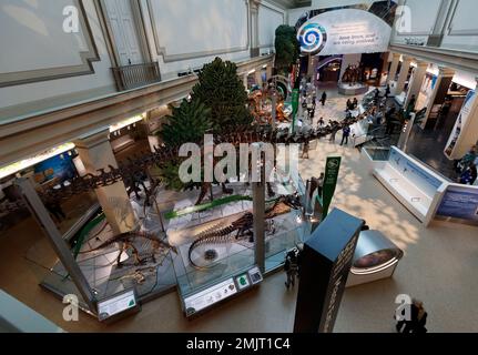 The Hall of Fossils at the Smithsonian National Museum of Natural ...