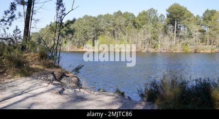 Hostens sandy beach lake with calm water in gironde france Stock Photo ...