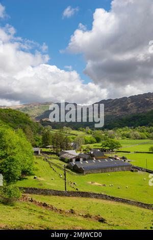Farm at Nant Gwynant in Snowdonia national park, North Wales. Spring ...