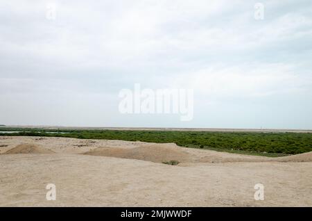 Mesmerizing beauty of Purple Island at Al Khor, Qatar Stock Photo - Alamy