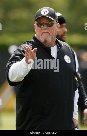 Pittsburgh Steelers offensive coordinator Randy Fitchner during ...
