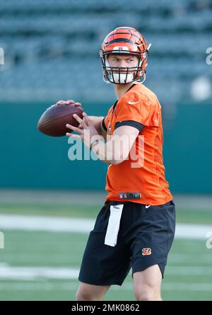 Cincinnati Bengals' Jake Dolegala (7) throws a pass during an NFL ...