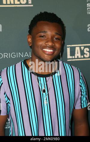 Curtis Harris arrives at the Los Angeles Premiere of Paddington at the TCL Chinese Theatre on ...