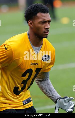 Pittsburgh Steelers cornerback Justin Layne (31) leaves the field after ...