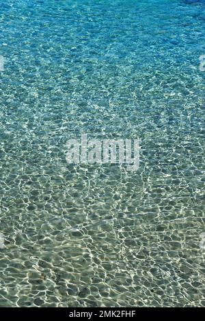 Photographic documentation that portrays the colors and shapes of the ...