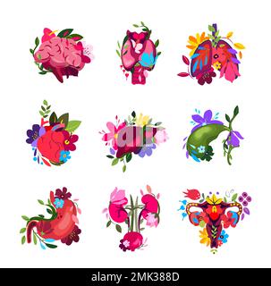 human kidneys, human internal organs, flowers, twigs, watercolor ...