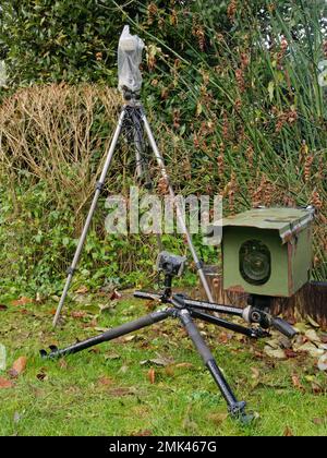 Camera trap set up to photograph garden badgers, foxes and deer ...