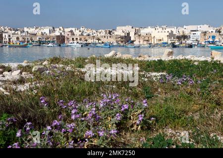 Marsaxlokks fishing port, in front the Mediterranean Sea, Malta ...