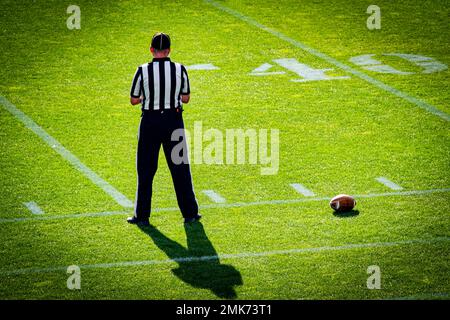 American football referee stands on the football field Stock Photo - Alamy