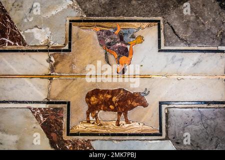 Meridian line with 12 zodiac constellations to read the position of the ...