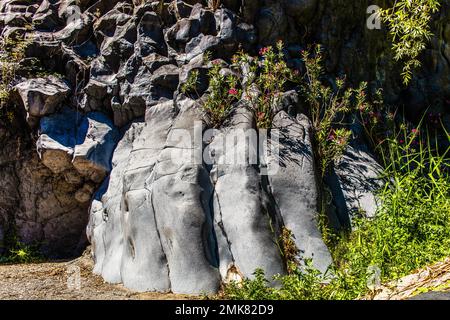 Bizarre rock formations of basalt, Alcantara gorge near Fondaco Motta ...