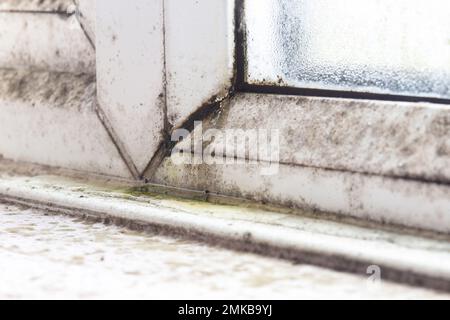 Damp and mouldy window frame, window sill in winter. Condensation and ...