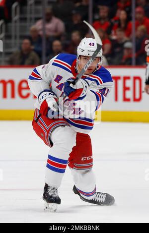 New York Rangers defenseman Libor Hajek during the first period of an ...