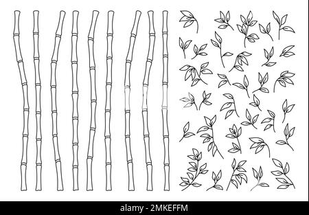 Bamboo stem and leaves outline border set. Exotic decoration elements ...