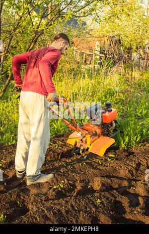 Farmer on Mini Tractor cultivating Olive Grove Stock Photo - Alamy