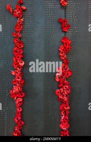 Poppies on the Wall of Remembrance Stock Photo - Alamy