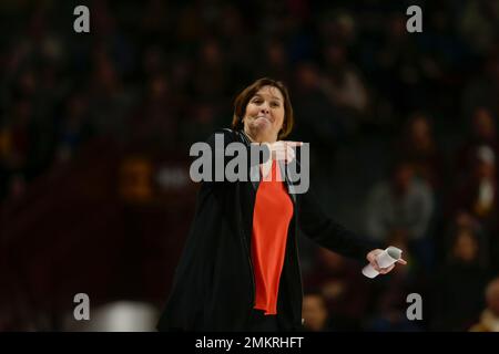 Illinois head coach Nancy Fahey against Minnesota during an NCAA ...