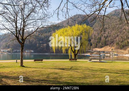 Ledro Lake in Ledro valley. Spring landscape. Trento province, Trentino ...