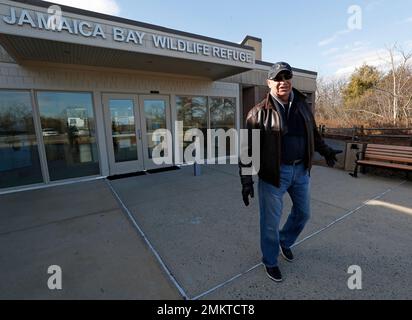 Nature from Jamaica Bay Wildlife Refuge. Images show birds and insect ...