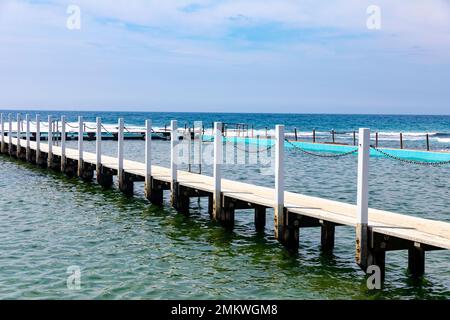 North Narrabeen beach ocean swimming rockpool, summer 2023,Sydney ...