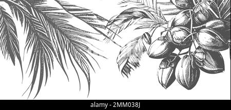 Ink drawn dates with leaves. Ripe fruits hang from the branches.Border ...