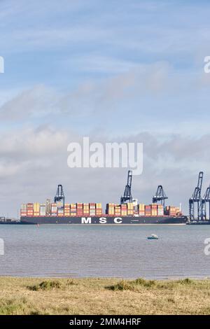 Container ship MSC Apolline moored at the Port of Felixstowe, Suffolk ...