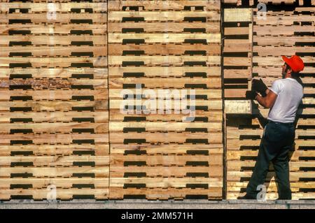 WAREHOUSE WORKER STACKING WOOD PALLETS Stock Photo - Alamy