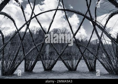 Willow Palace in the Nethe Valley, roof, view through structure made of ...
