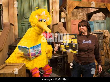 SESAME STREET, Big Bird, 1969-current Stock Photo - Alamy