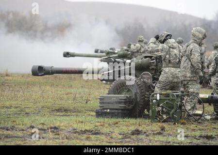 Direct fire exercise in cold, drizzly weather by 2nd Battalion, 2nd Field Artillery Brigade ...