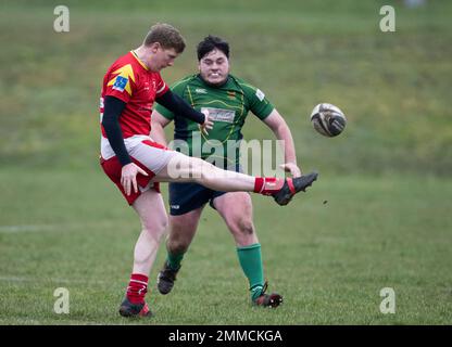 Rugby player drop kicking ball as opponent tries to charge down kick ...
