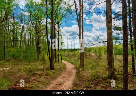 Road to the lake through the forest on a sunny summer day. Digital ...