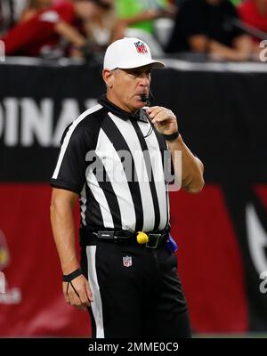 NFL referee John Hussey during an NFL football game between the ...