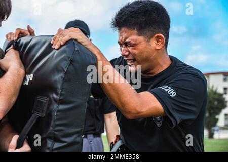 A Japanese Security Guard with Provost Marshal’s Office, Headquarters ...