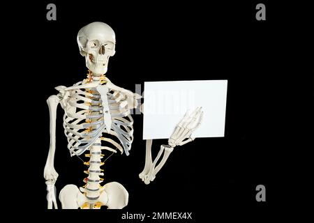Artificial human skeleton model with blank paper sheet on black ...