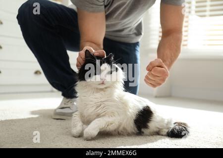Man beating cat at home, closeup of hands. Domestic violence against ...