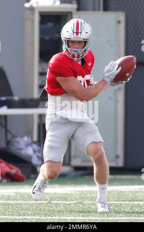 Ohio State wide receiver C.J. Saunders makes a catch during an NFL Pro ...