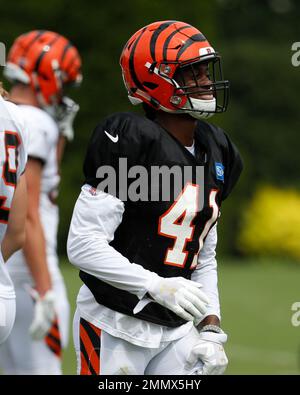 Cincinnati Bengals safety Trayvon Henderson (41) drops back into ...